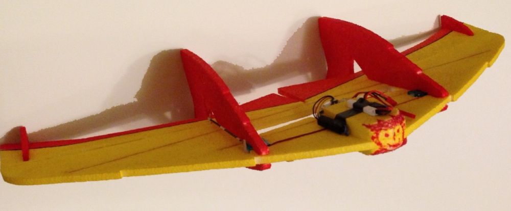 Crash-Wing Delta / Parkflyer / Shockflyer, 20,50